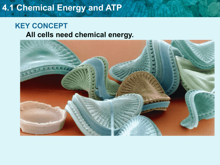 Chemical Energy & ATP: Cell Biology Presentation