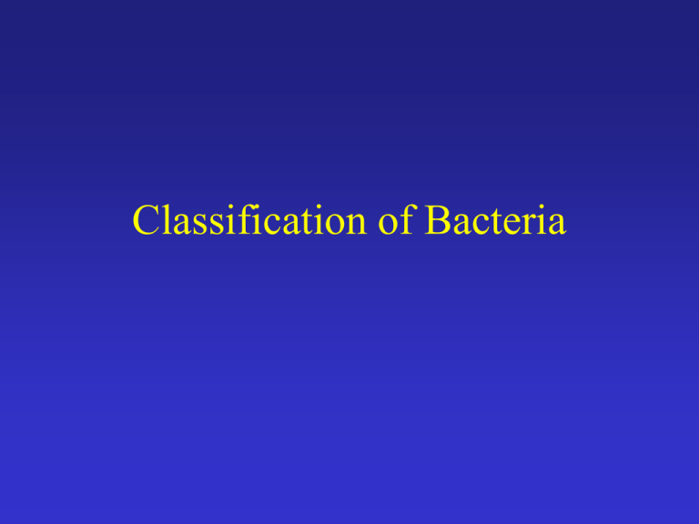 Classification of Bacteria