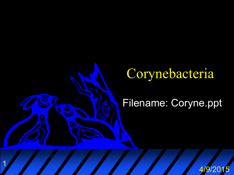 Corynebacteria