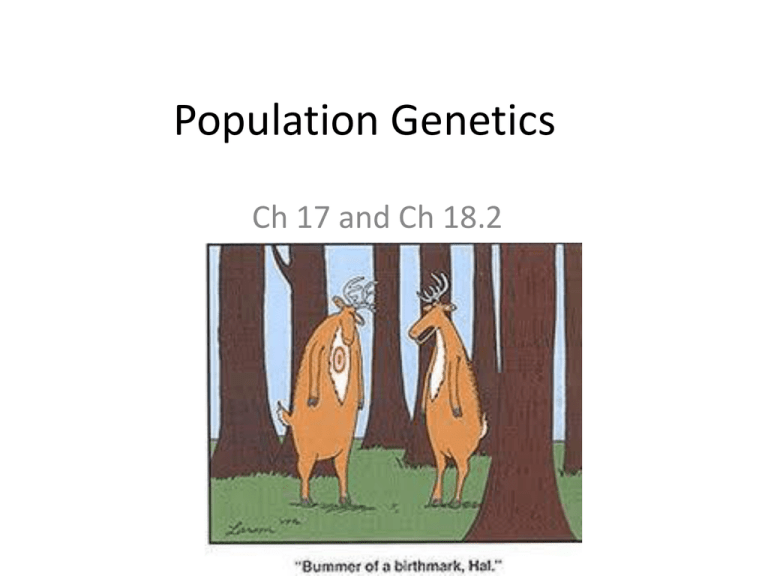 Population Genetics