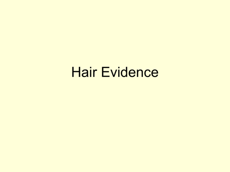 Hair Evidence: Forensic Analysis & DNA | Presentation