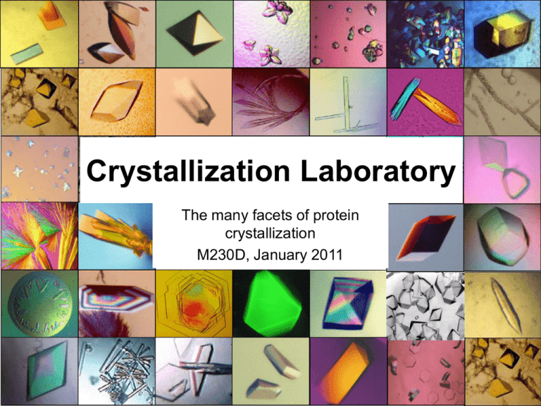 Crystallization Laboratory