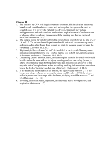 Biceps Load Test II: A Clinical Test for SLAP Lesions