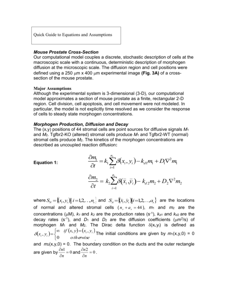 Quick Guide to Equations and Assumptions