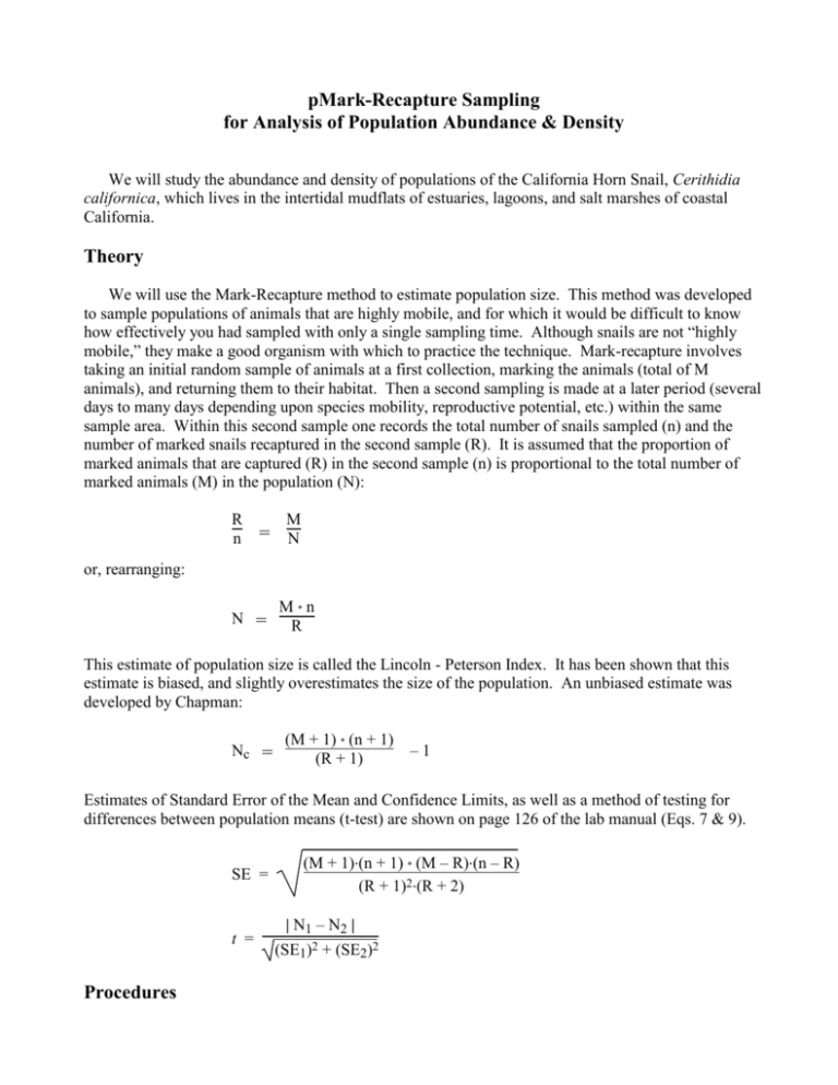Mark Recapture Sampling University Of San Diego