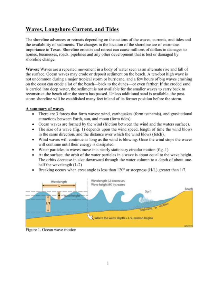Waves, Longshore Current and Tides