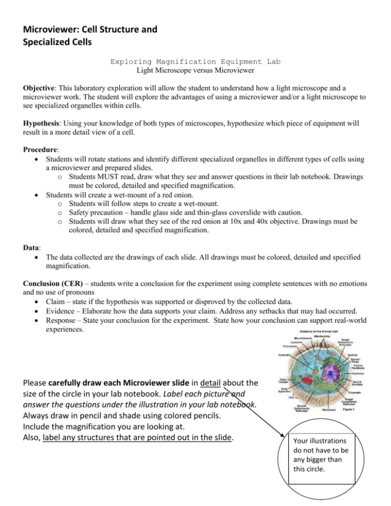 Microviewer: Cell Structure and Specialized Cells