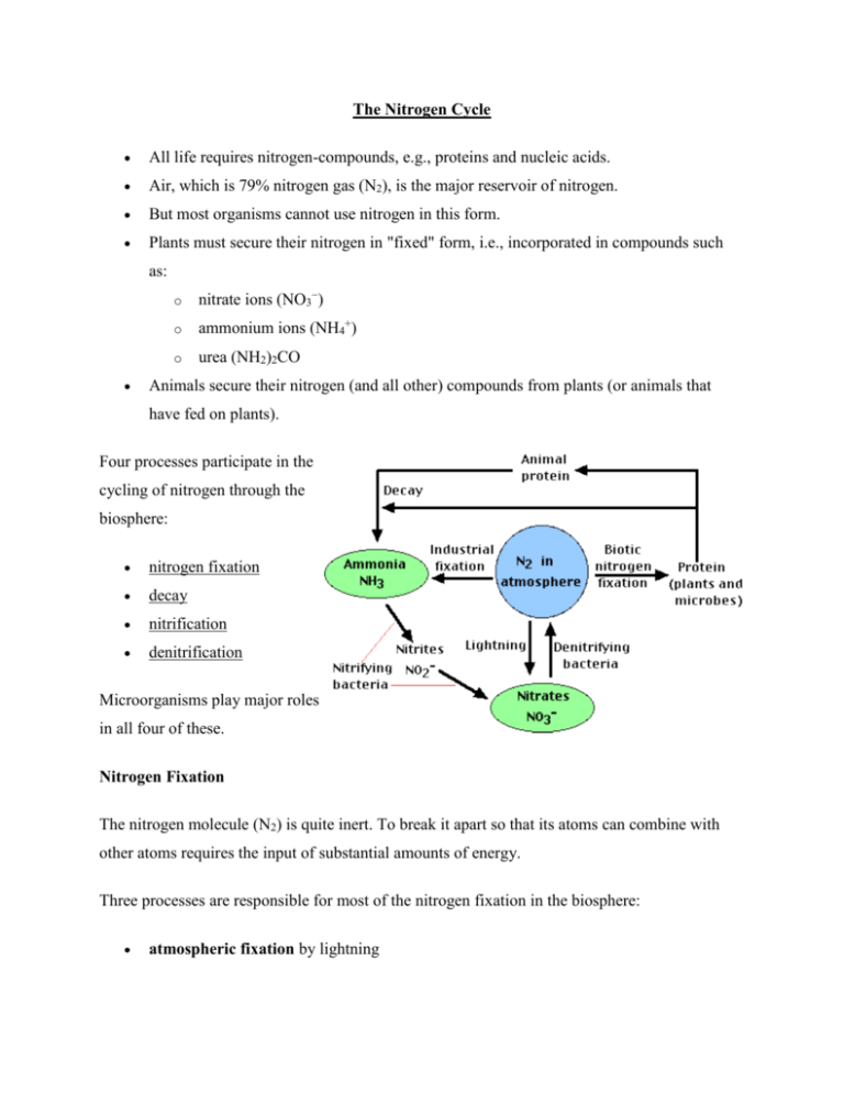 The Nitrogen Cycle