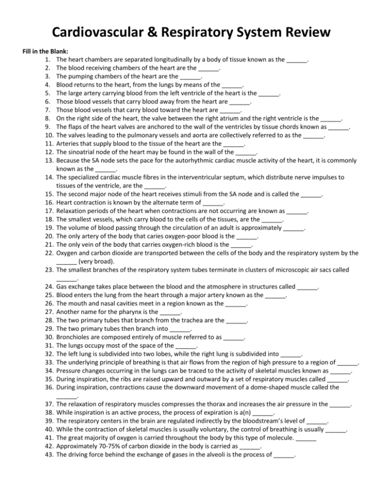 Cardiovascular & Respiratory System Review