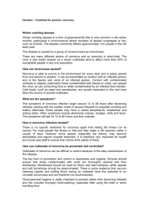 norovirus information guide