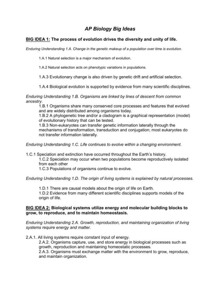 Click Here to a printable copy of the 4 Big Ideas, Enduring