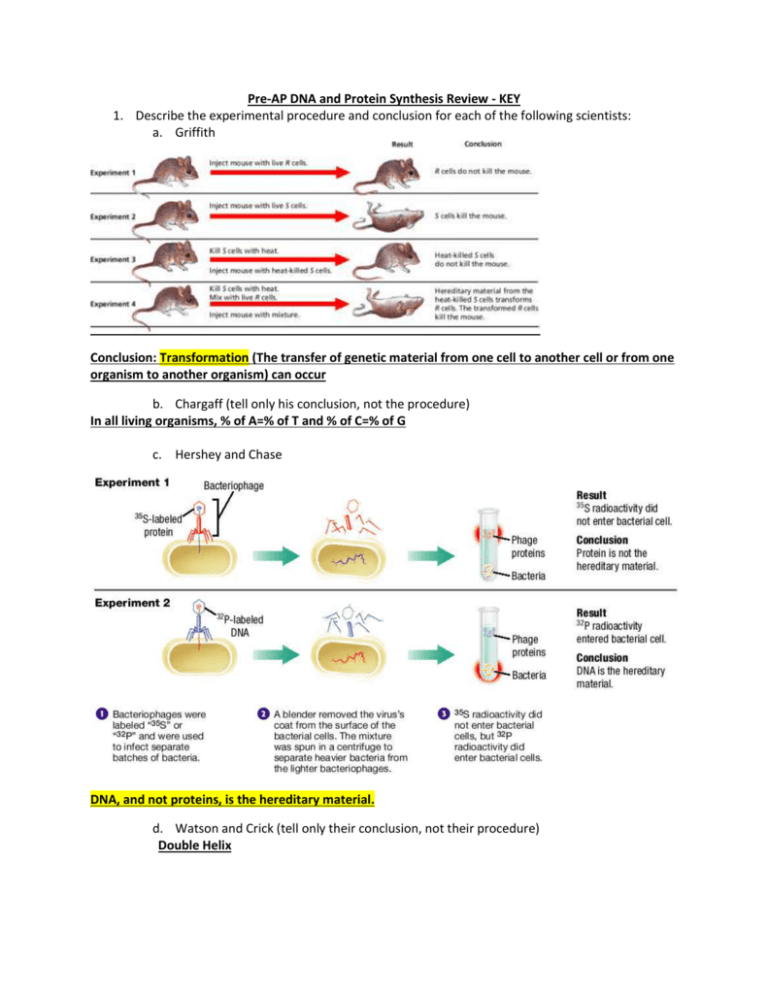 Unit 5 (Molecular Biology - DNA) Review KEY