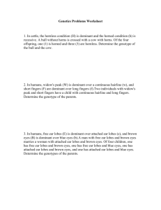 Genetics Problems Worksheet
