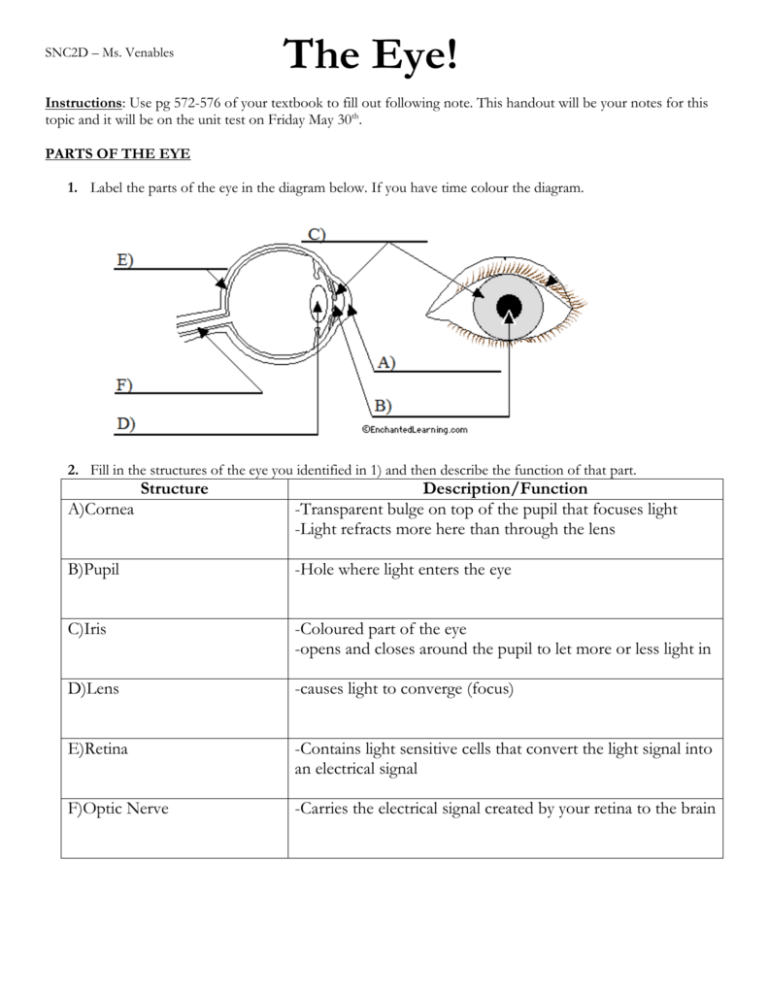 9. The Eye - Fill In