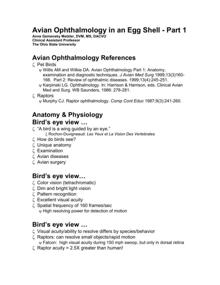 Avian Ophthalmology in an Egg Shell