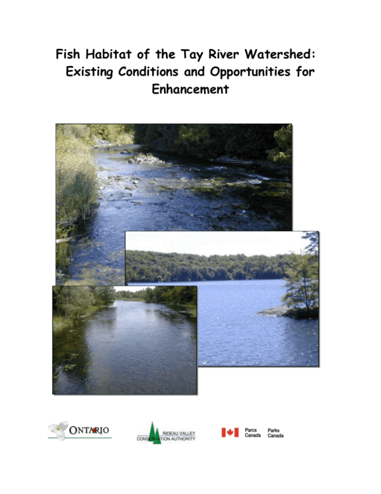 Fish Habitat of the Tay River Watershed: