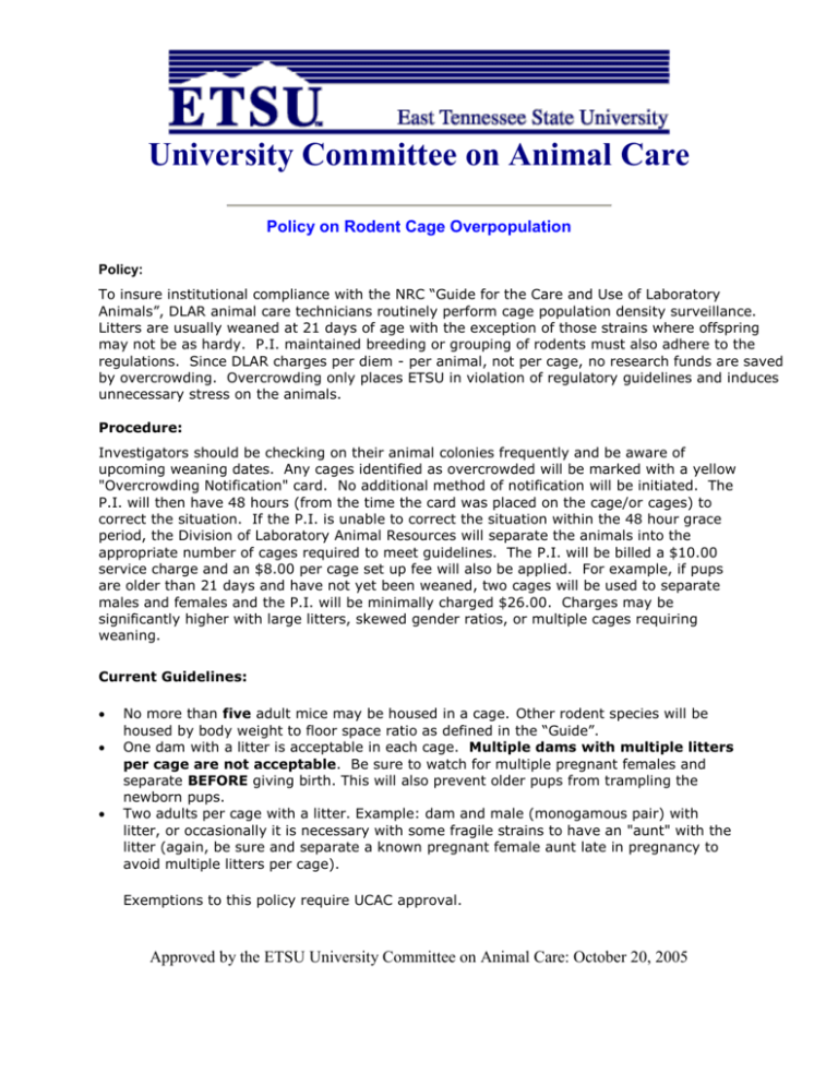 Policy and Procedure