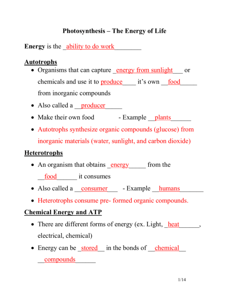 Photosynthesis – The Energy of Life