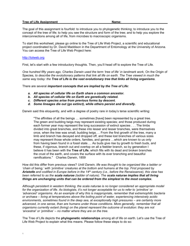 Tree of Life Assignment