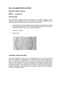 Gel Electrophoresis of Proteins