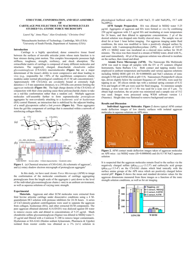 BIOLOGICAL SELF-ASSEMBLY AND NANOSCALE