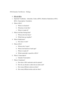 Genetics Unit Review Guide