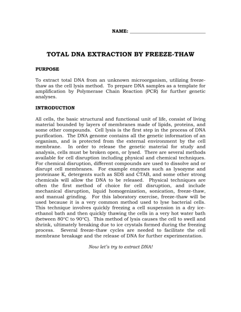 Freeze-Thaw DNA Extraction