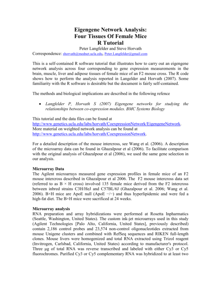 Weighted Gene Co-expression Network Analysis Weighted Gene Co-expression Network Analysis