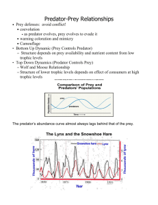 Predator-Prey Simulation Lab