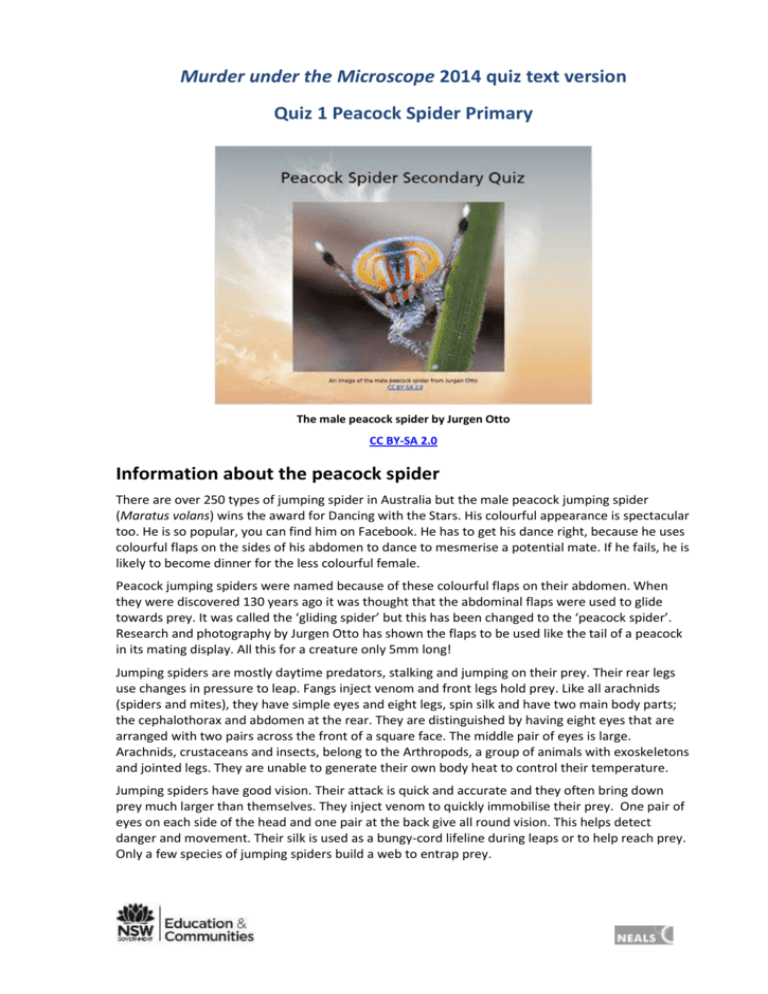 Quiz text version - Murder under the Microscope