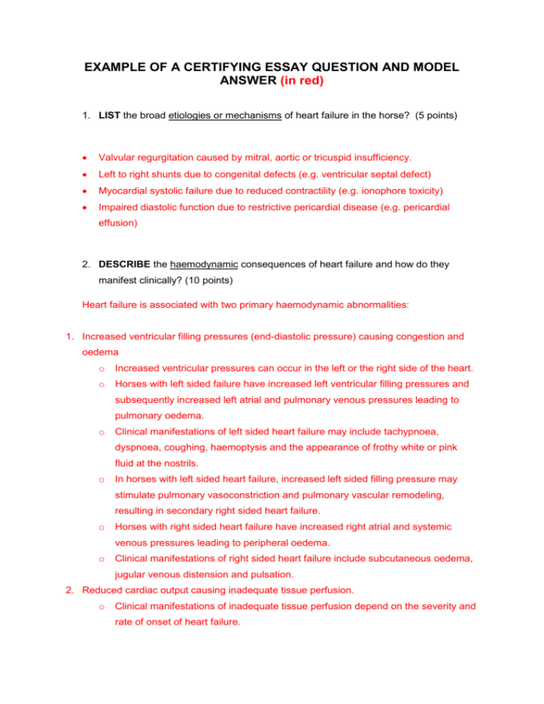 essay question and model answer