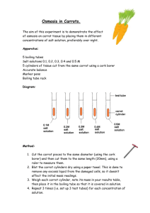 Osmosis / Carrot Lab