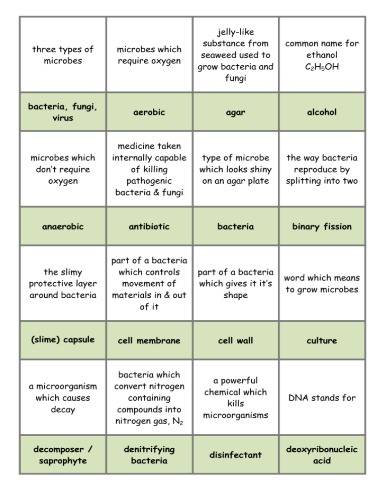 Microbes Flash cards