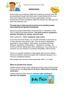 norovirus information guide