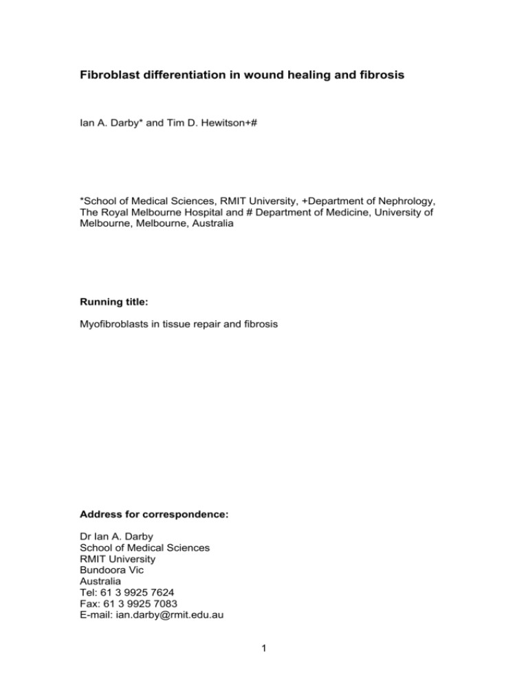 Fibroblast differentiation in wound healing and