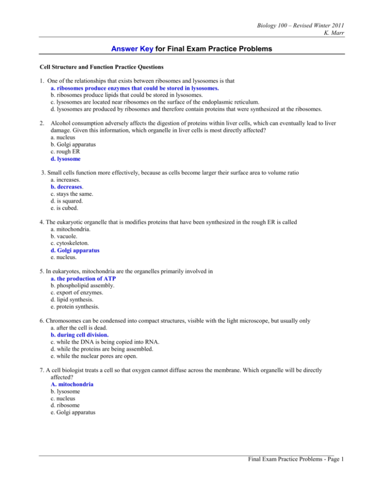 Answer Key For Final Exam Practice Problems