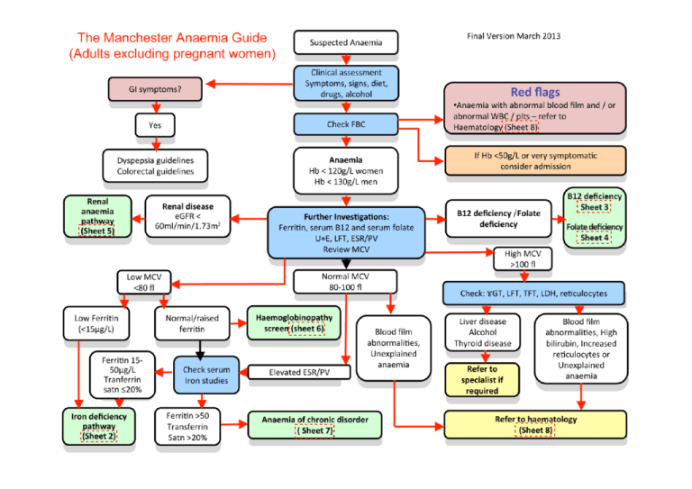 Manchester Anaemia Guide