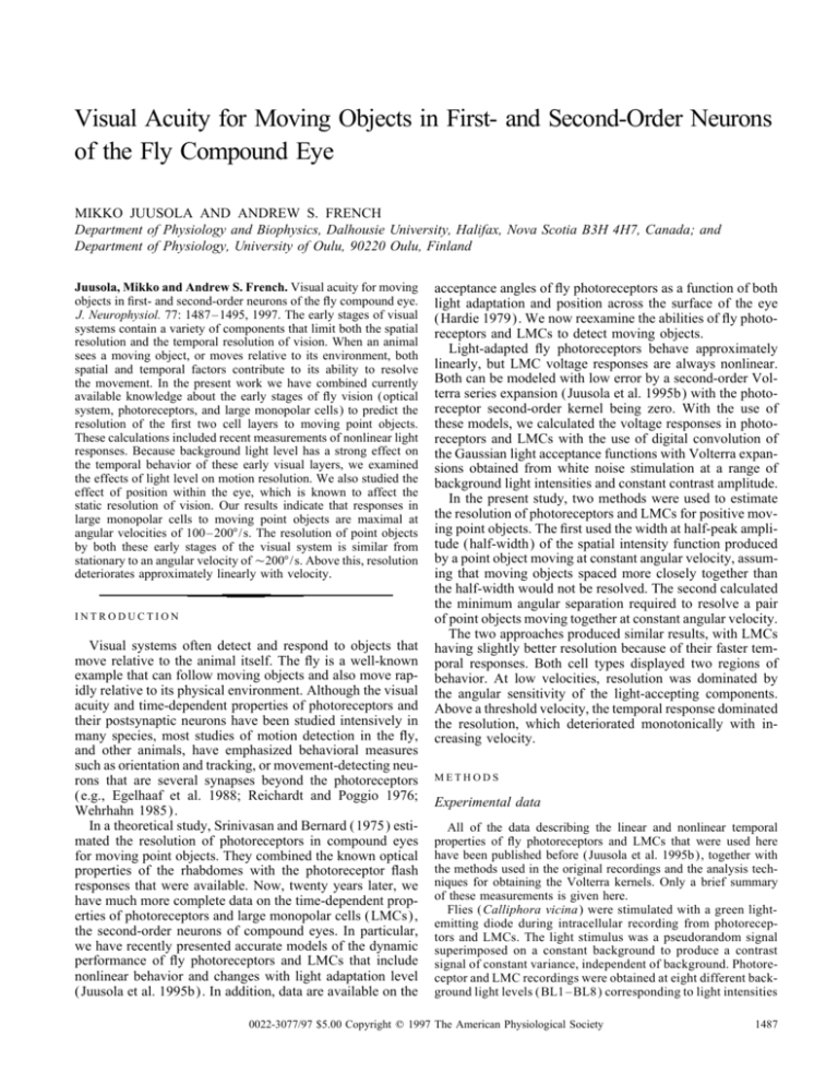 Visual Acuity For Moving Objects In First And Second visual-acuity-for-moving-objects-in-first-and-second