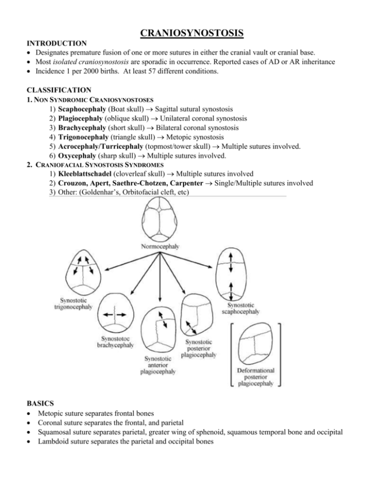 Craniosynostosis