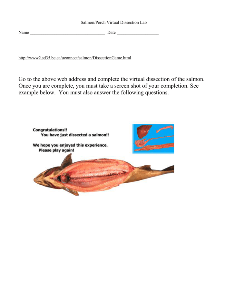Fish Alternative Dissection Lab Fish Alternative Dissection Lab