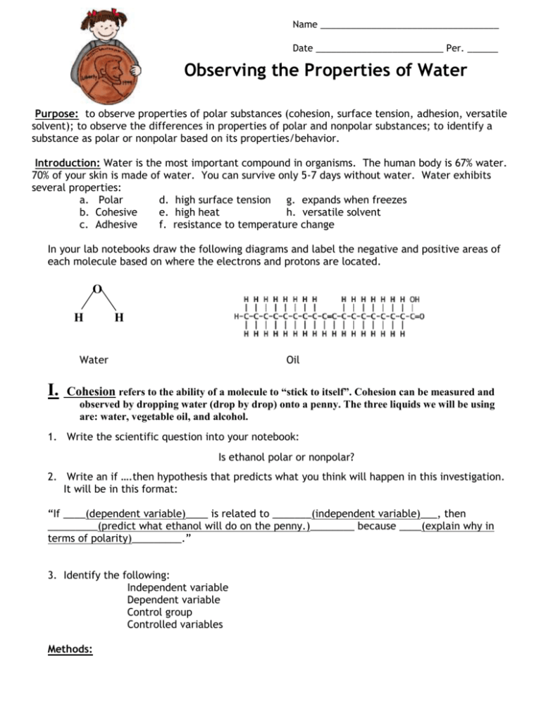 cohesion adhesion lab 2013