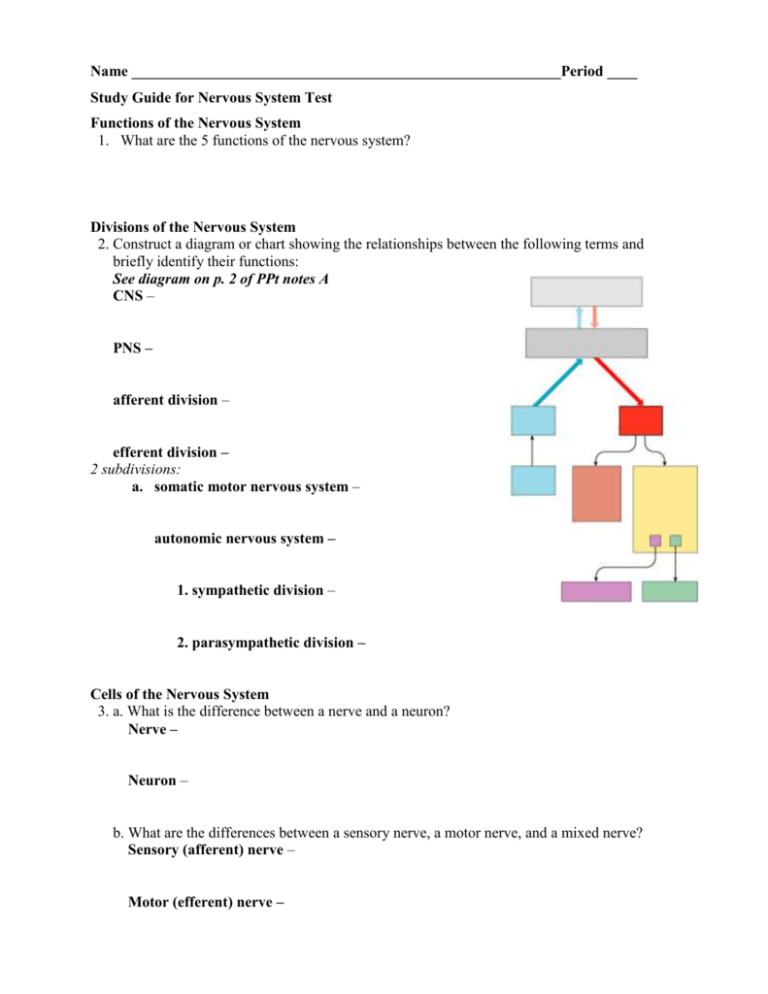 Study Guide for Nervous System Test