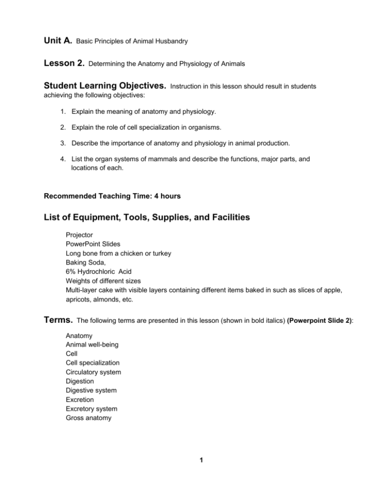Determining The Anatomy And Physiology Of Animals determining-the-anatomy-and-physiology-of-animals