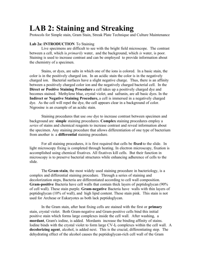 LAB 2: Staining and Streaking