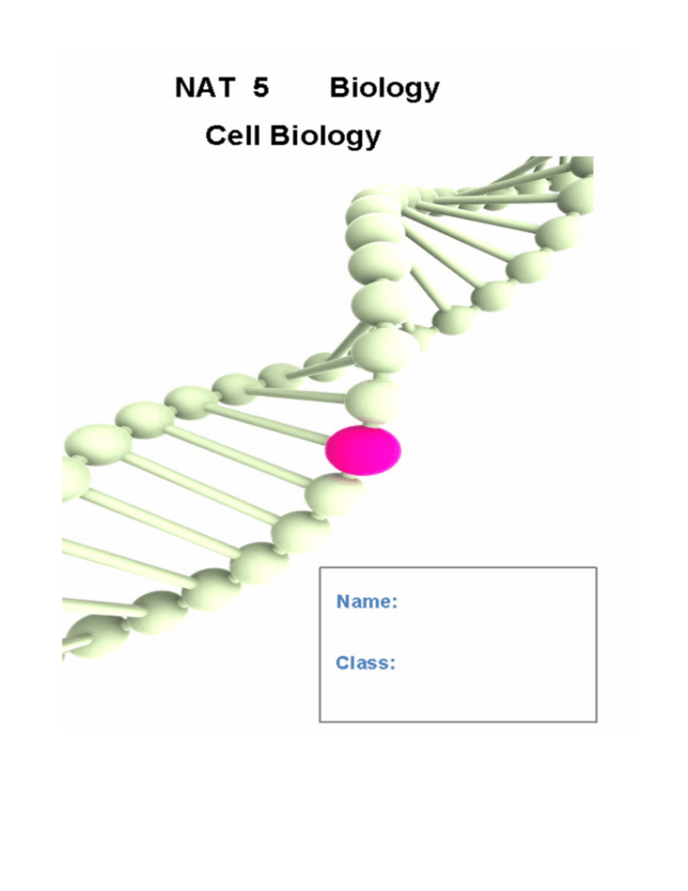 Cell Biology Revision Notes