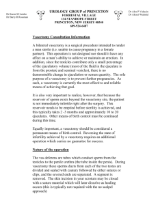 Vasectomy Informational Letter and Consent