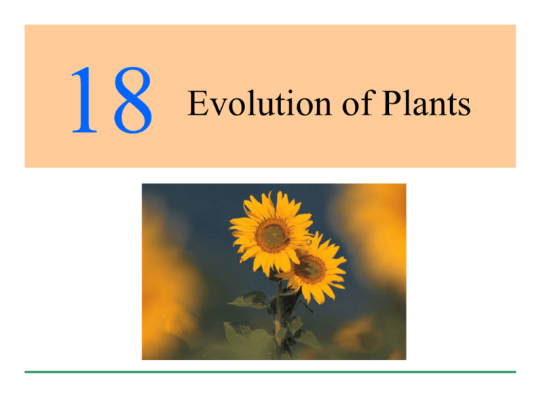 Evolution of Plants