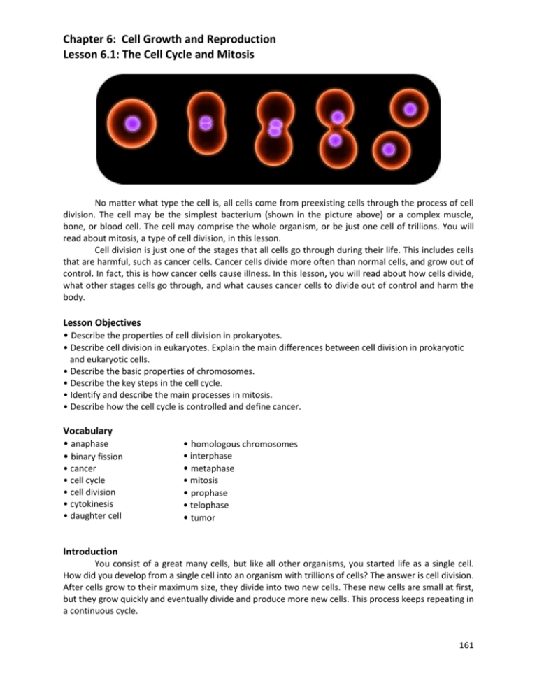 Chapter 6: Cell Growth and Reproduction Lesson 6.1: The Cell