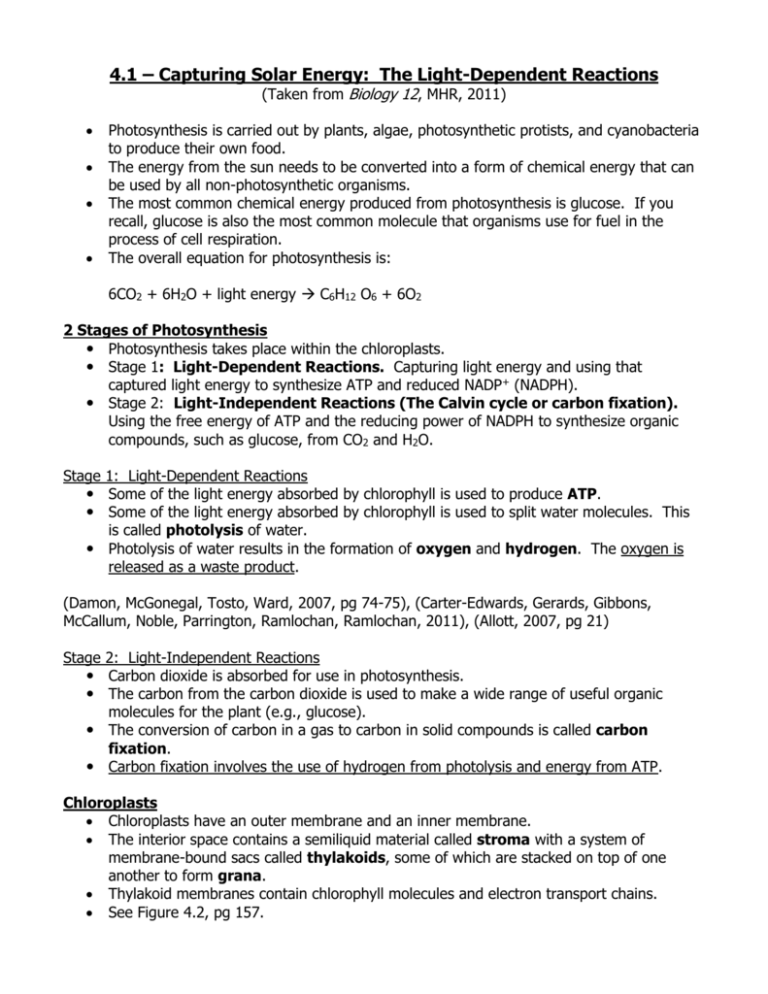 4.1 – Capturing Solar Energy: The Light