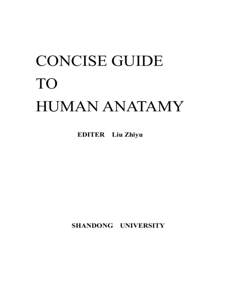 Concise Guide To HUMAN ANATOMY 2 concise-guide-to-human-anatomy-2